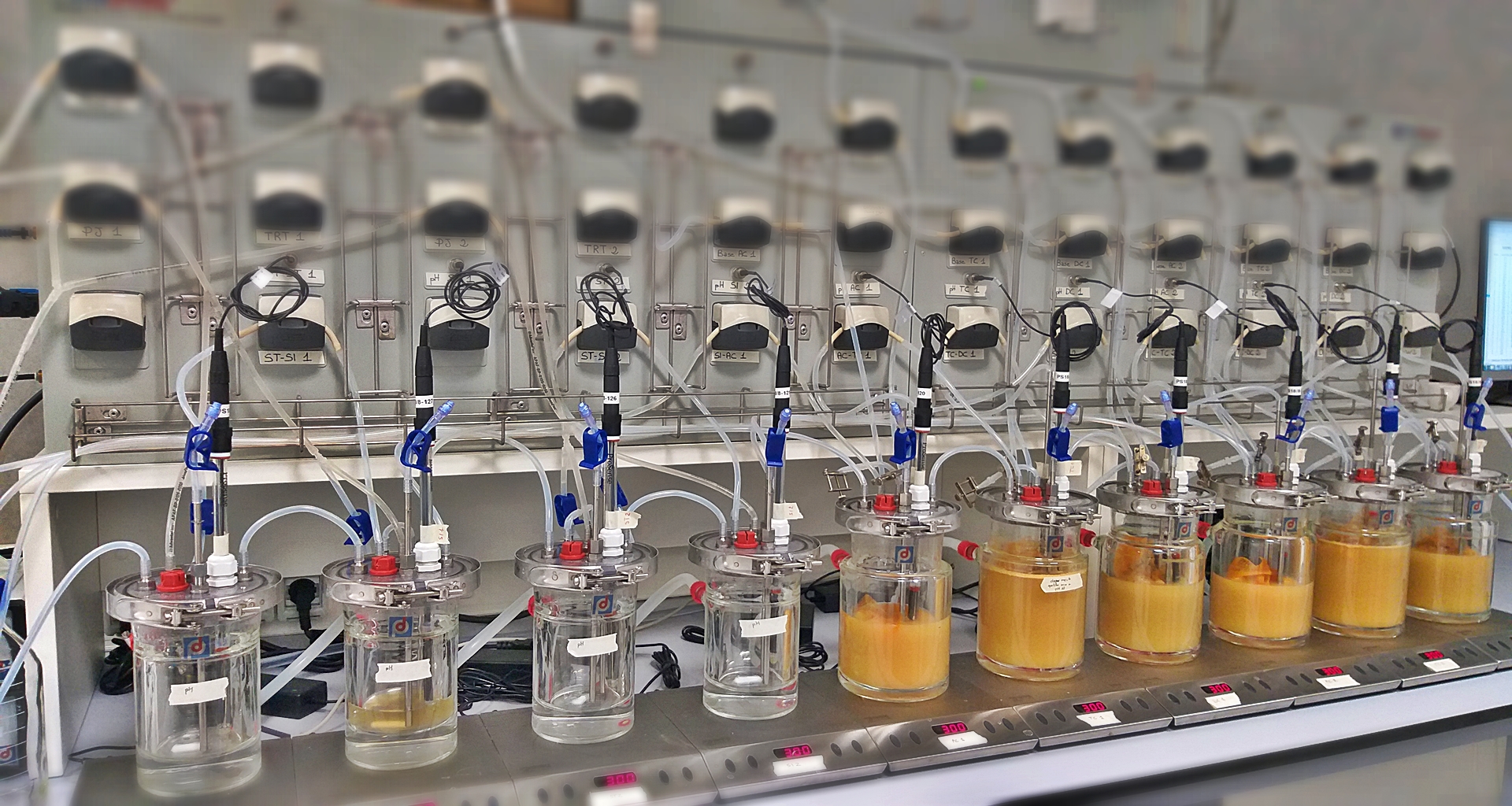 Diet-human axis (SHIME®) - Micro4food